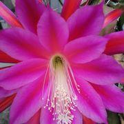 No.147946 そんなの調べるのに大変です そ… - (株)アストロスケールホールディングス【186A】の掲示板 2025/11/06〜 - 株式掲示板 - Yahoo!ファイナンス