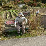 No.307691 ソシオネクストみたいになると困… - (株)SUMCO【3436】の掲示板 2025/10/28〜 - 株式掲示板 - Yahoo!ファイナンス