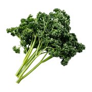 No.187953 Re:下らん投稿するな。 アンケート… - JX金属(株)【5016】の掲示板 2025/11/11〜 - 株式掲示板 - Yahoo!ファイナンス