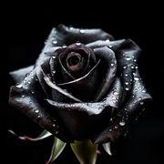 No.548844 チームSBIと、ステーブルコイ… - (株)gumi【3903】の掲示板 2025/08/26〜2025/08/30 - 株式掲示板 - Yahoo!ファイナンス