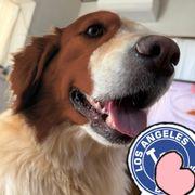 No.18690 ふむ…ここを勘違いの既出材料と… - 第一稀元素化学工業(株)【4082】の掲示板 2025/10/28〜 - 株式掲示板 - Yahoo!ファイナンス